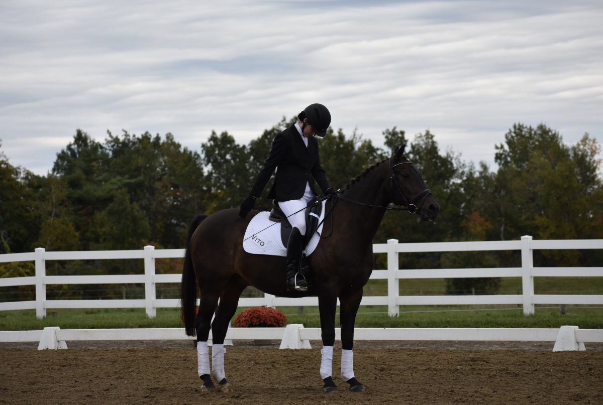 Home | UConn Dressage Team
